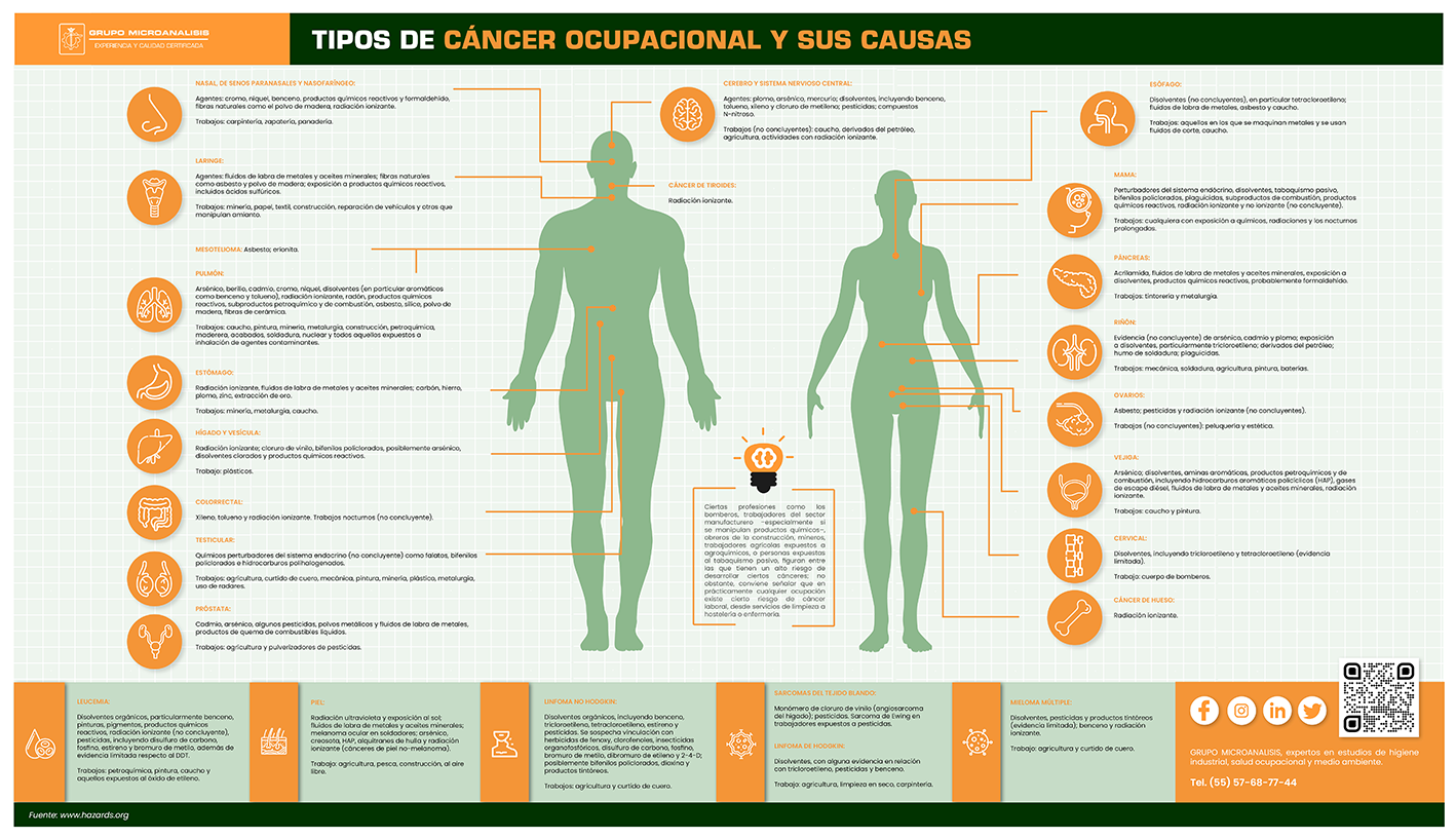 Tipos de cáncer ocupacional y sus causas (infografía descargable ...