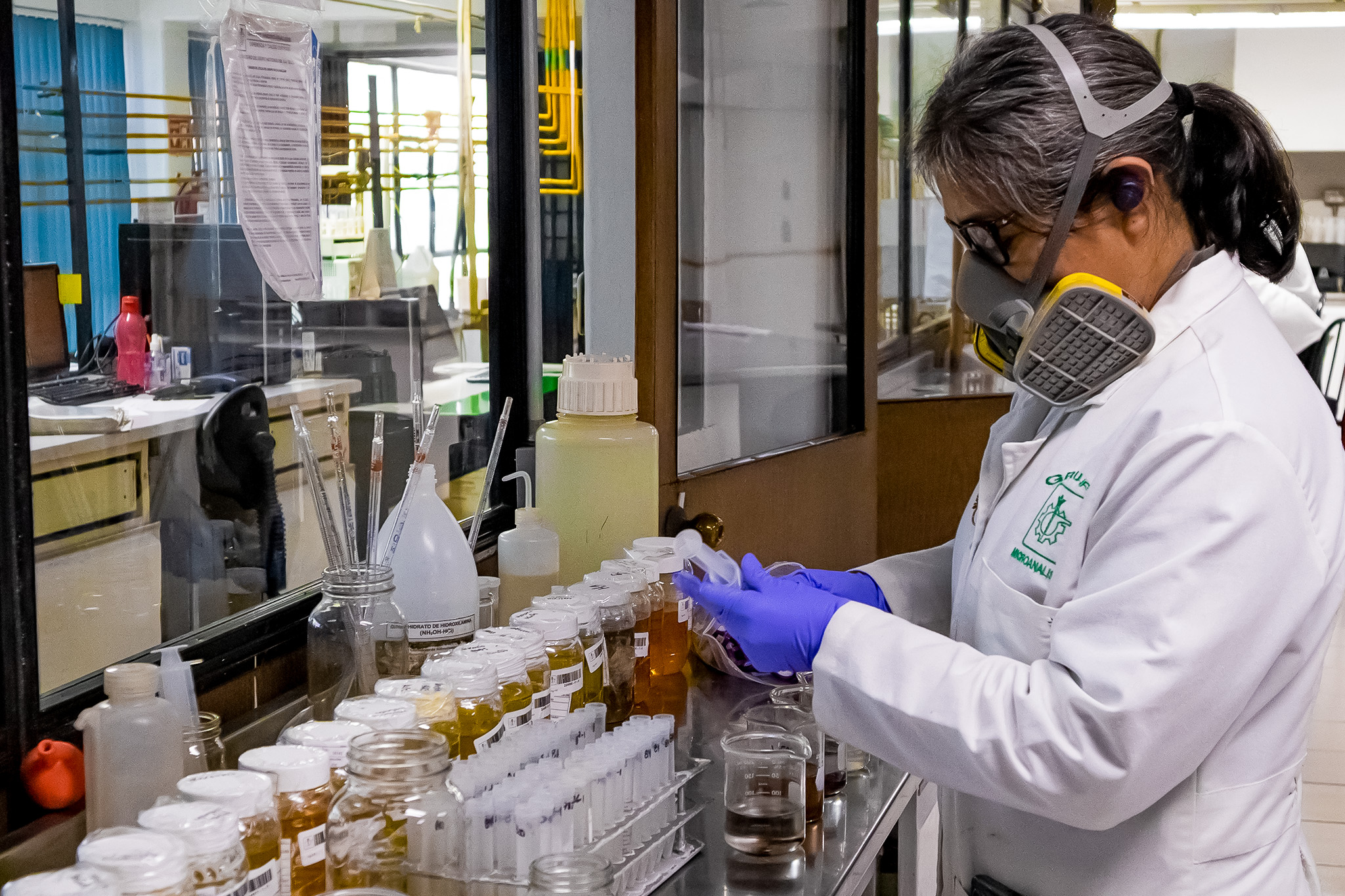 Medidas para minimizar la exposición a carcinógenos en el ambiente ...