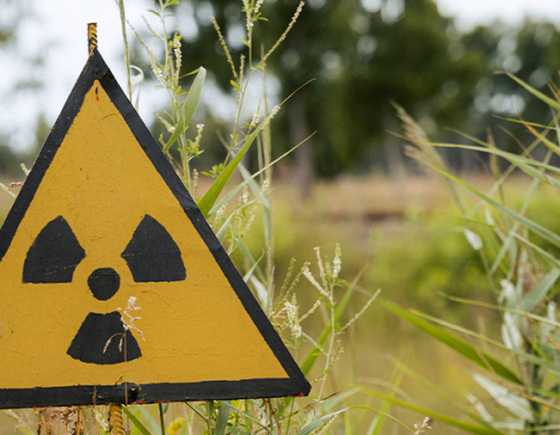 Blog y Noticias - Grupo Microanalisis