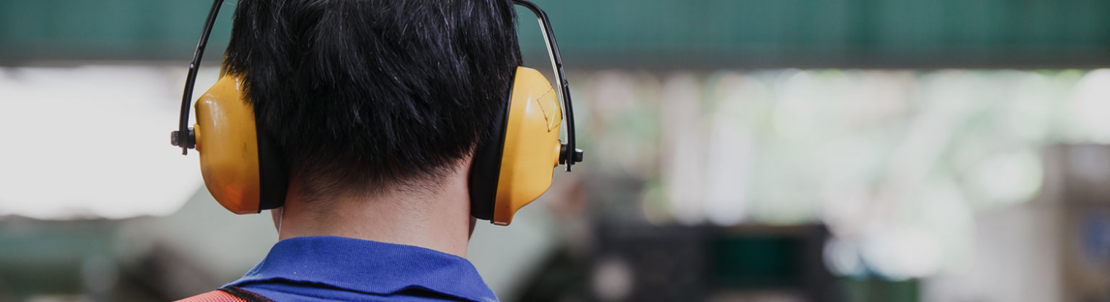 Evaluación de la Exposición Ocupacional al Ruido